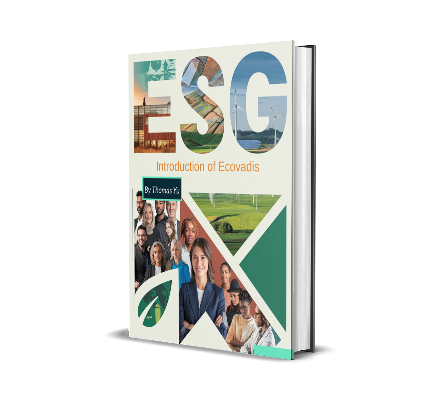 Ecovadis | Gabriel Consultant Limited